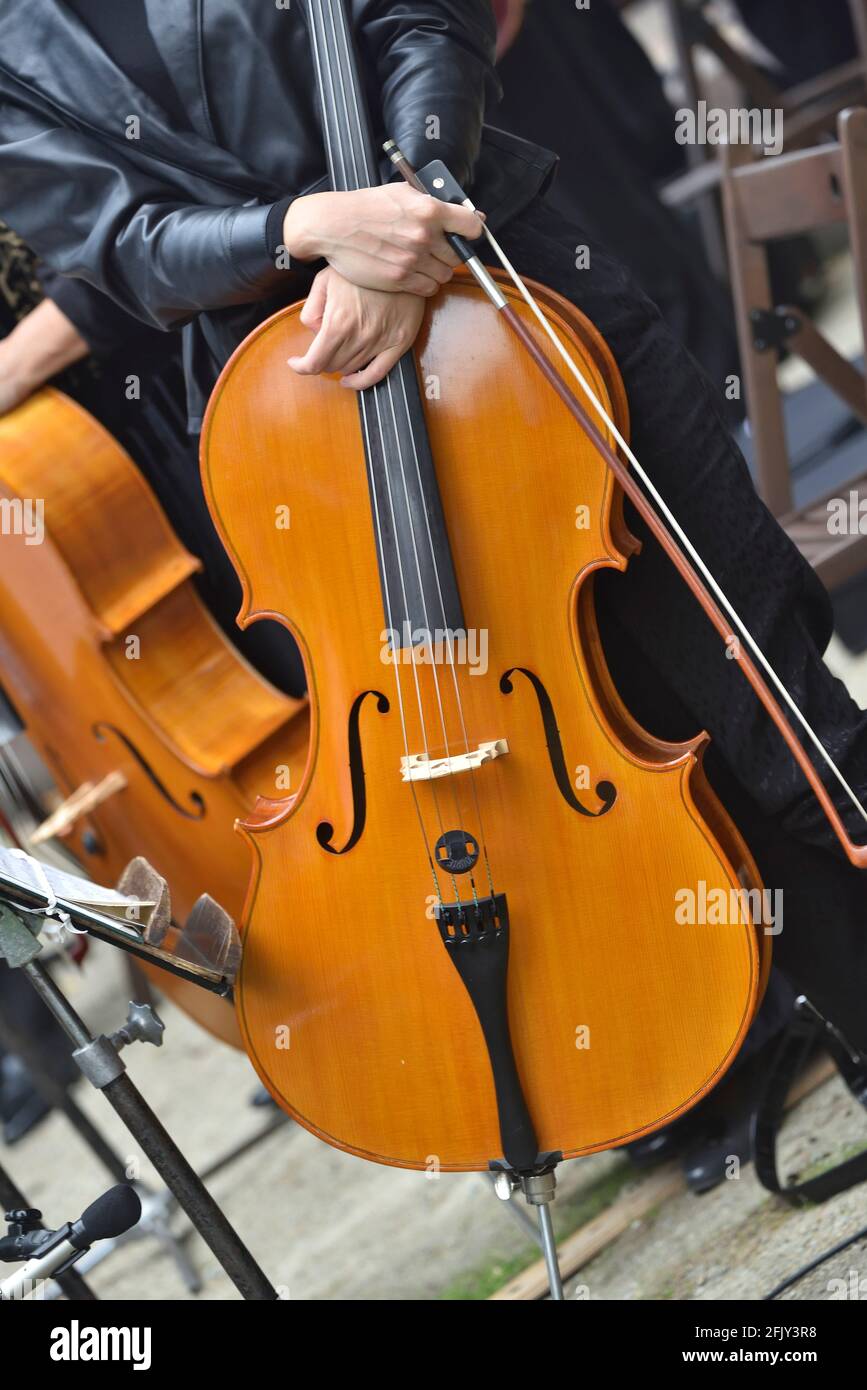 cello during the concert, with the hands of the musician and a bow ...