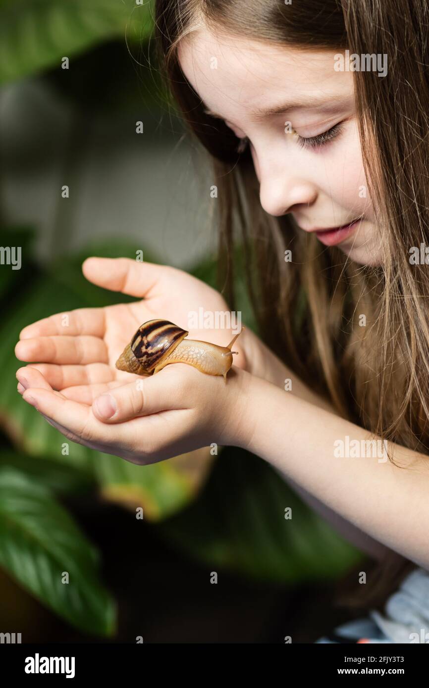 Little girl looking at snail achatina on her hands. Exotic pet. Concept ...