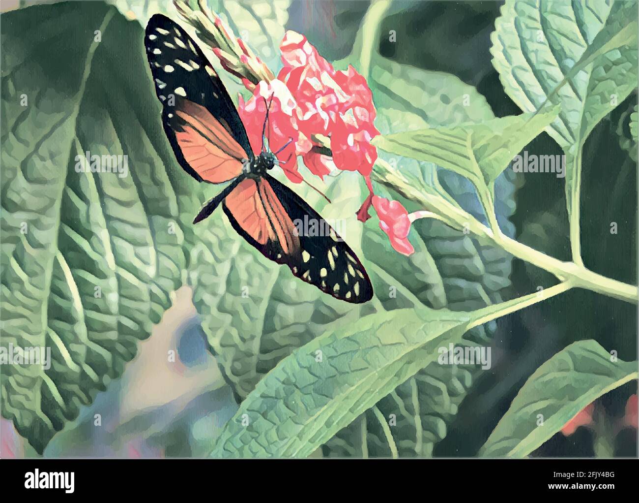 Blue butterfly wing close up macro Stock Vector Images - Alamy