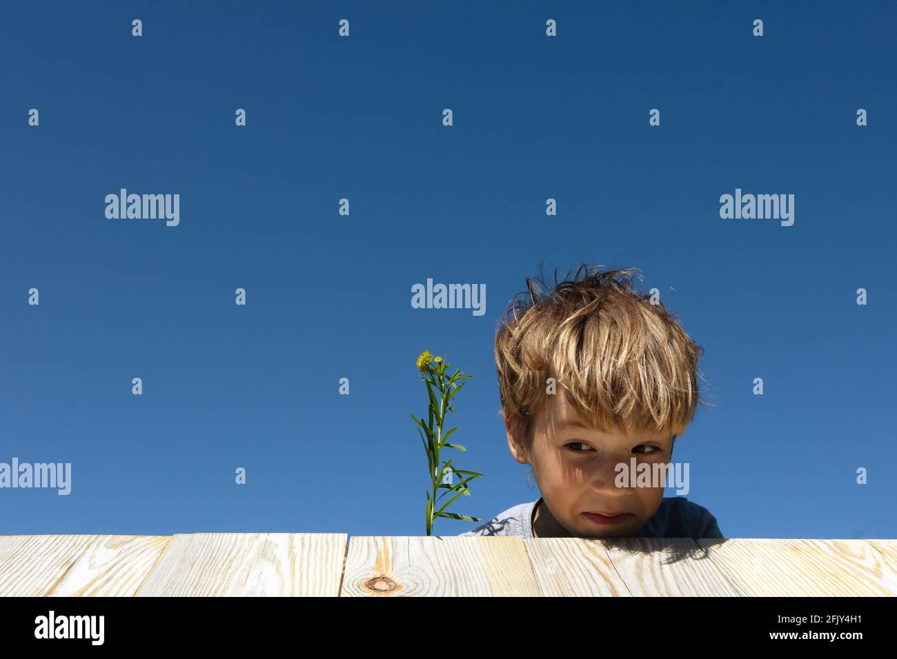 Boy peeking table hi-res stock photography and images - Alamy