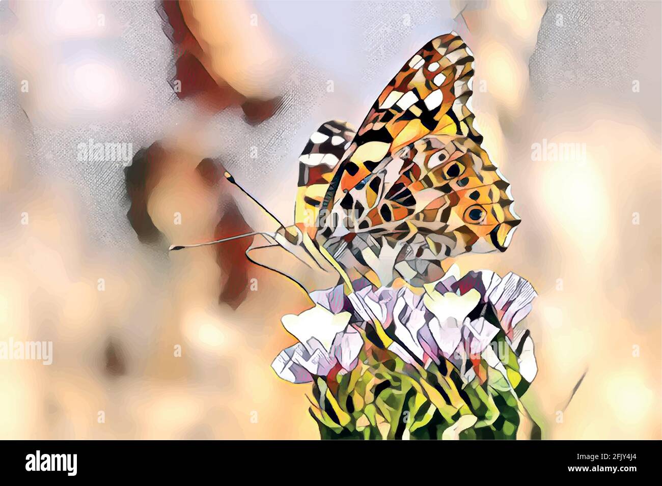 Butterfly wing close up Stock Vector Images - Alamy