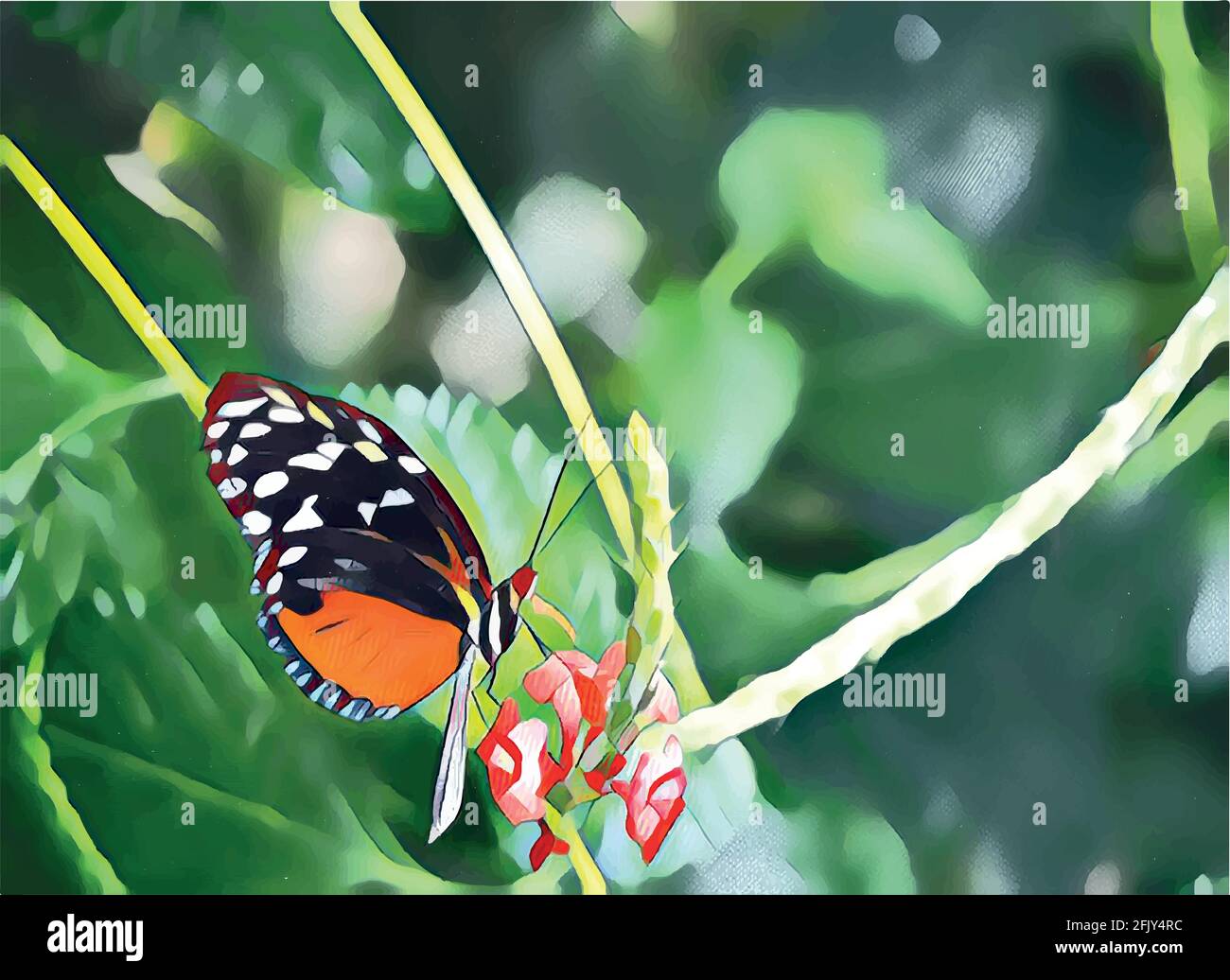 Butterfly wing close up Stock Vector Images - Alamy