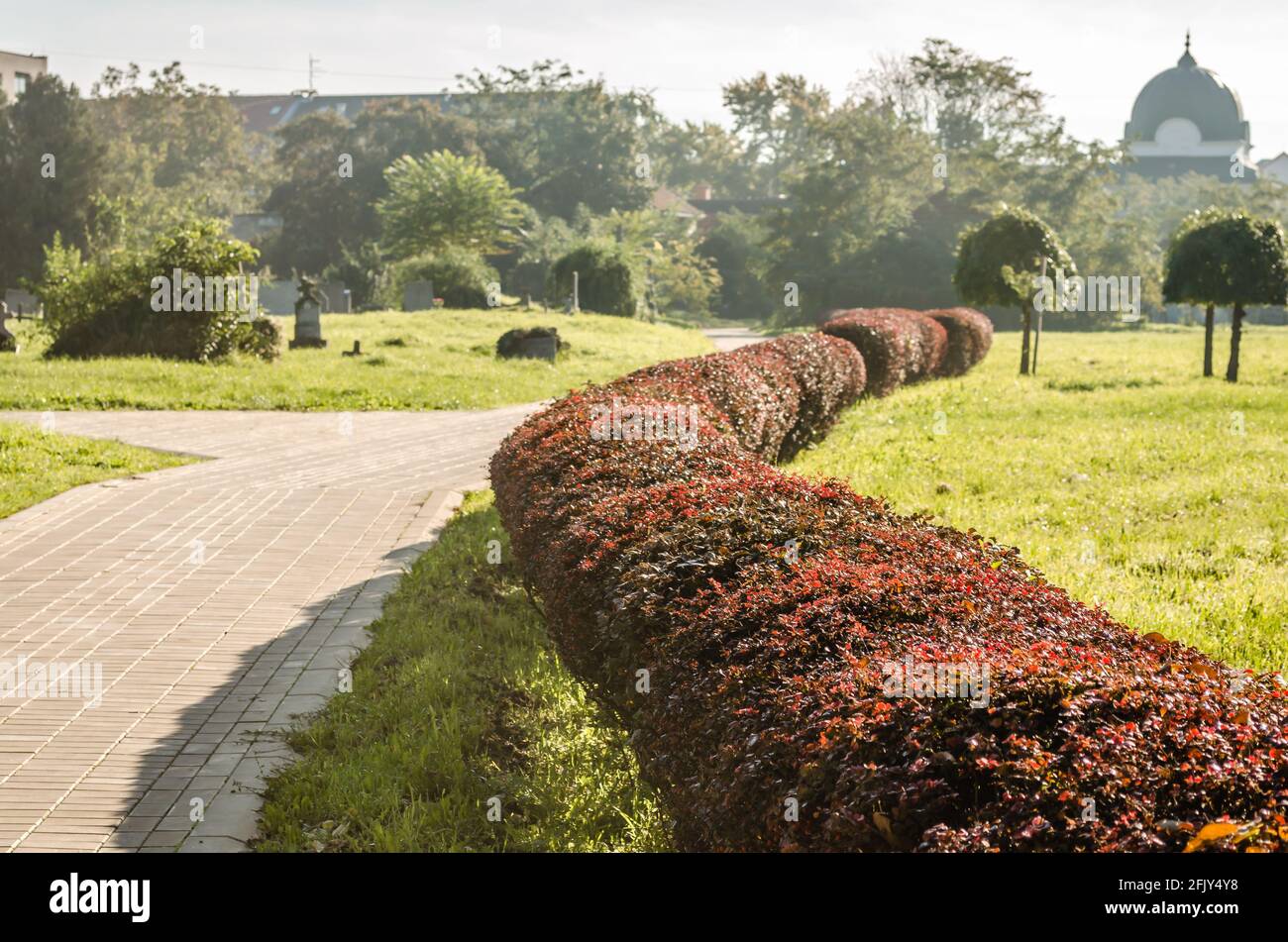 Autumn trees in one of the parks in the city of Novi Sad - Serbia Stock ...