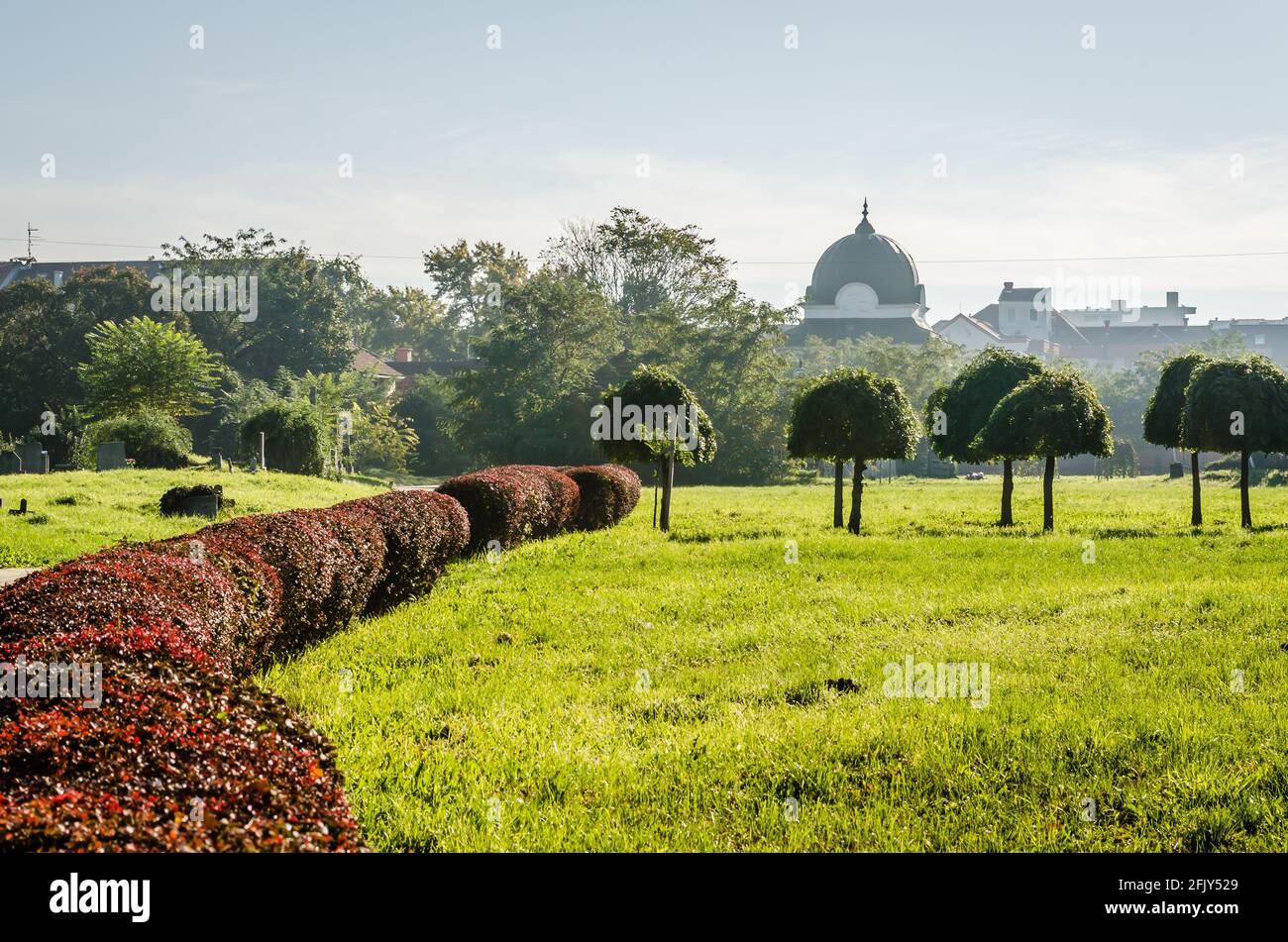 Autumn trees in one of the parks in the city of Novi Sad - Serbia Stock ...
