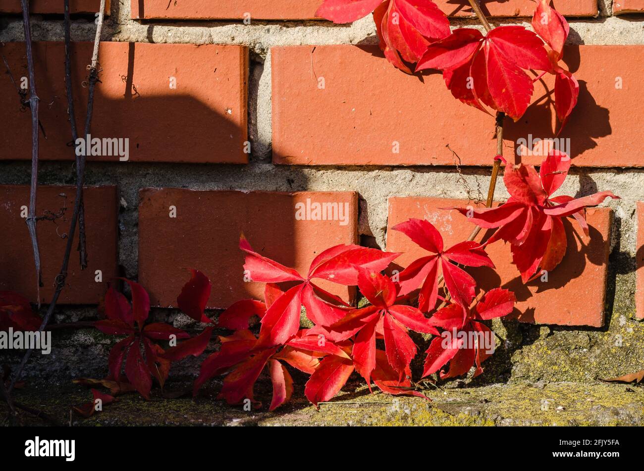 Novi Sad, Serbia - October 22, 2015: The outskirts of the city of Novi ...