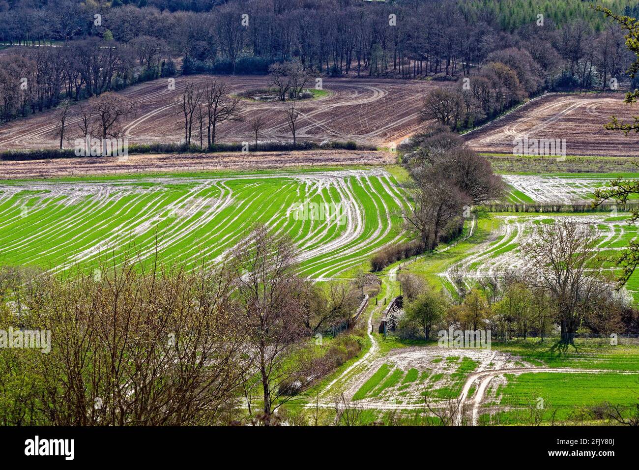 Mole tracks hi-res stock photography and images - Alamy