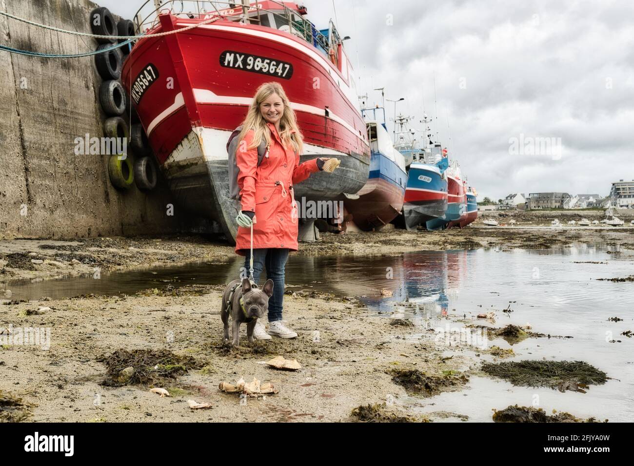 Bulldog fish hi-res stock photography and images - Alamy
