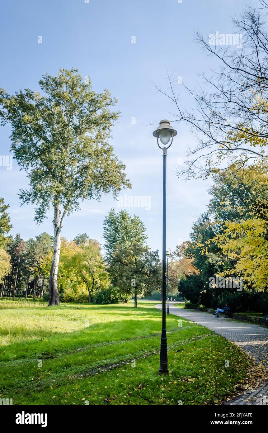 Autumn trees in one of the parks in the city of Novi Sad - Serbia Stock ...