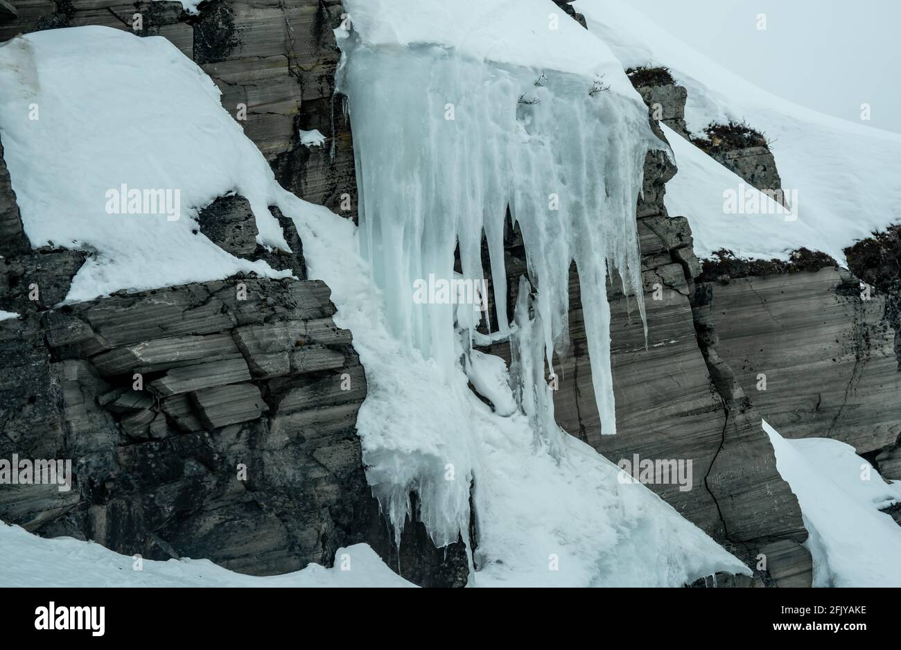 Massive long frozen icicles hanging of the side of a cliff on a ...