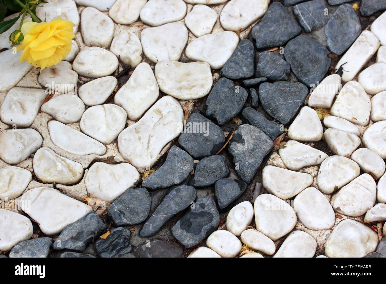 Pebbles and rose. Ornate garden. Landscape design Stock Photo - Alamy