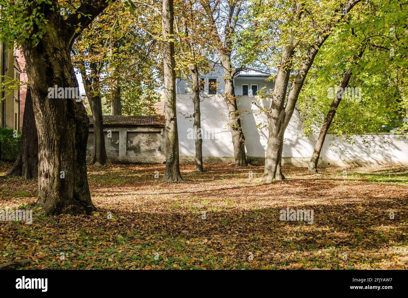 Autumn trees in one of the parks in the city of Novi Sad - Serbia Stock ...