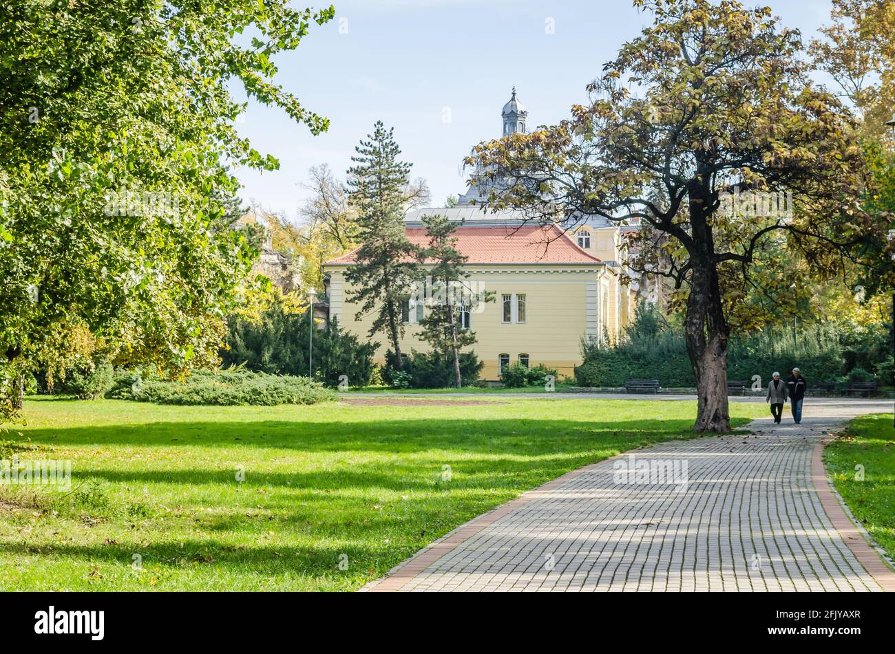 Autumn trees in one of the parks in the city of Novi Sad - Serbia Stock ...