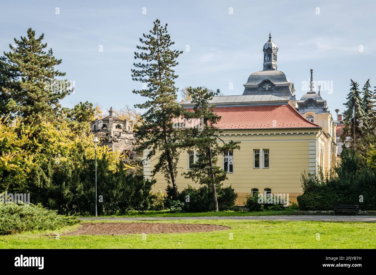 Autumn trees in one of the parks in the city of Novi Sad - Serbia Stock ...