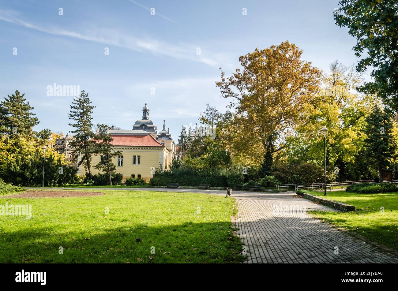 Autumn trees in one of the parks in the city of Novi Sad - Serbia Stock ...