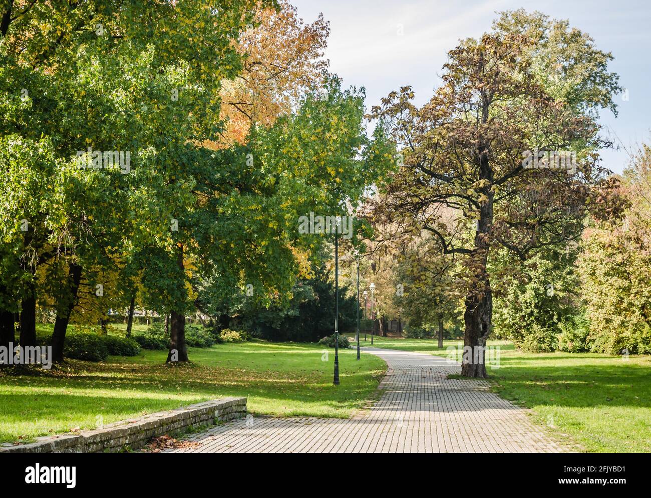 Autumn trees in one of the parks in the city of Novi Sad - Serbia Stock ...