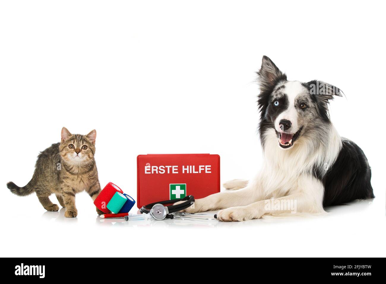 Kit aid cat hi-res stock photography and images - Alamy