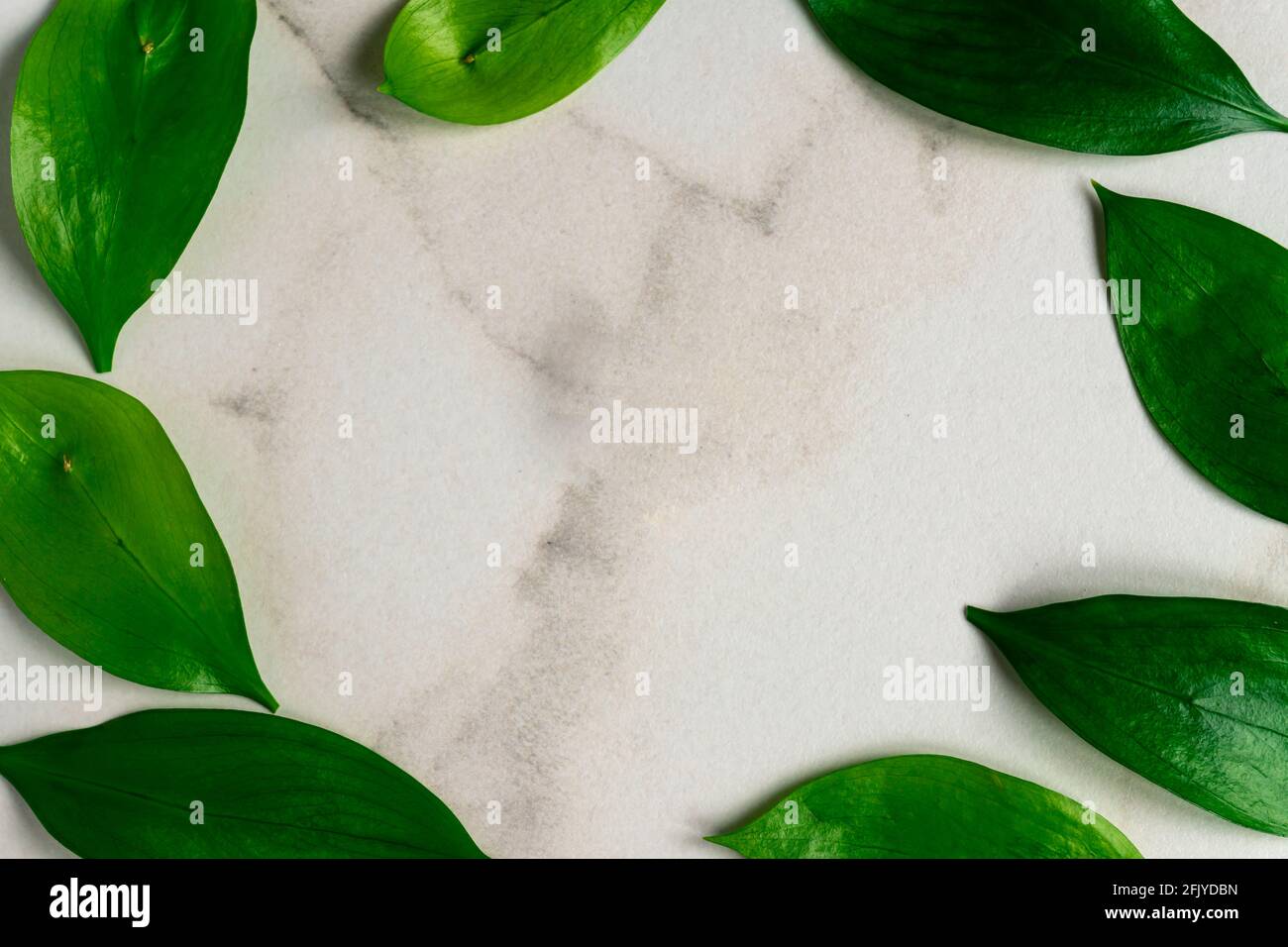 Flat lay composition with tropical leaves and space for text on marble ...