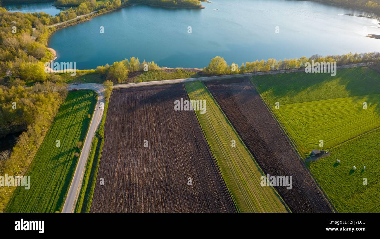 Aerial view with a drone of a spring wavy agricultural countryside ...