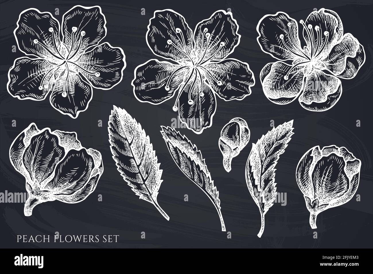 Vector set of hand drawn chalk peach flowers Stock Vector Image & Art ...