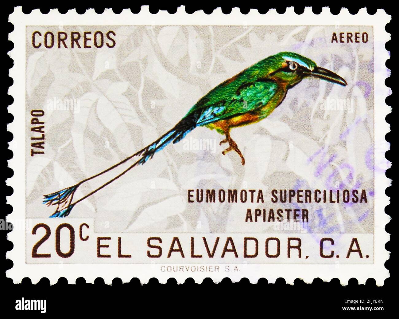 Talapo hi-res stock photography and images - Alamy