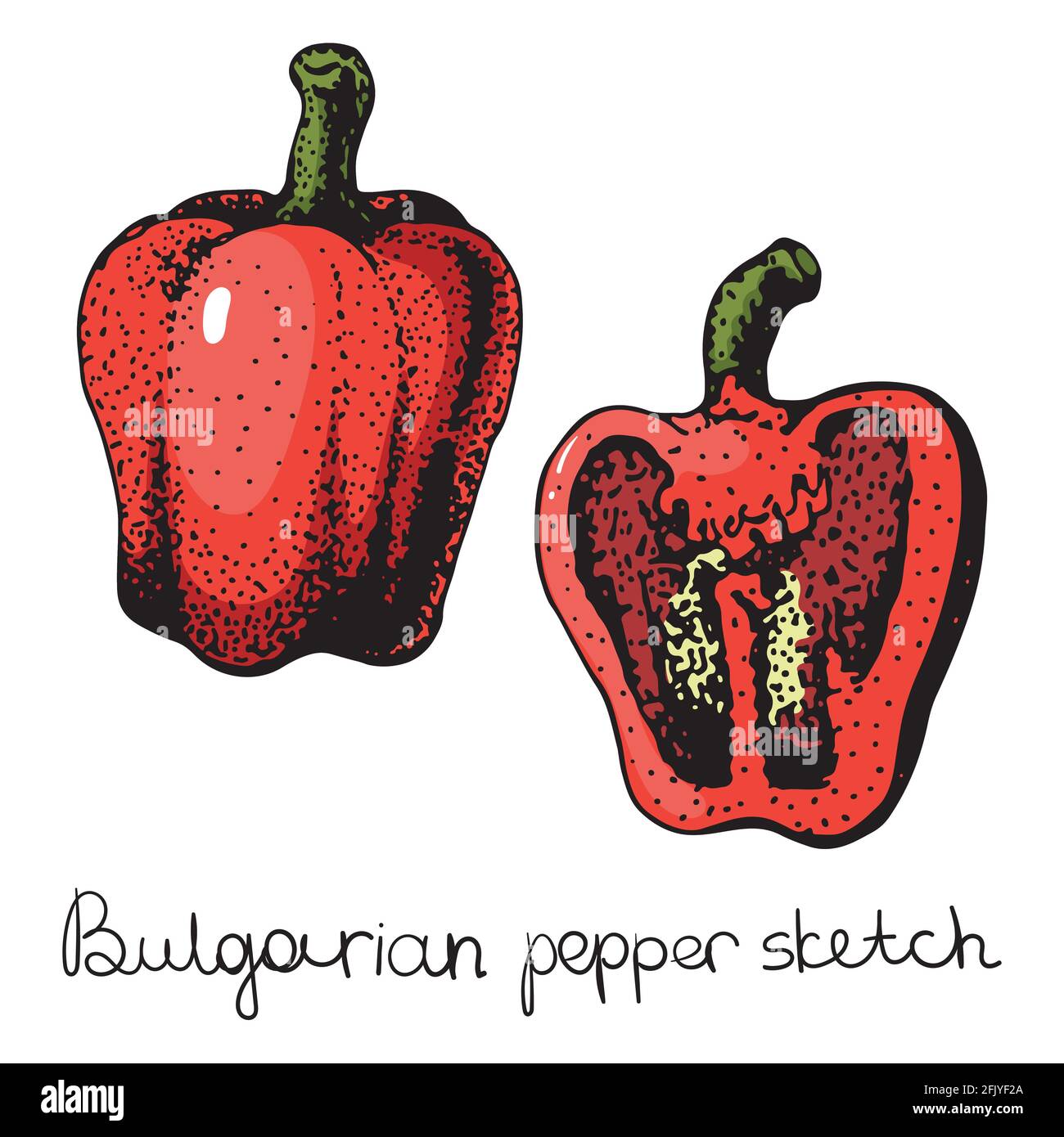 Pepper hand drawn vector set. Vegetable Isolated object full, half and ...
