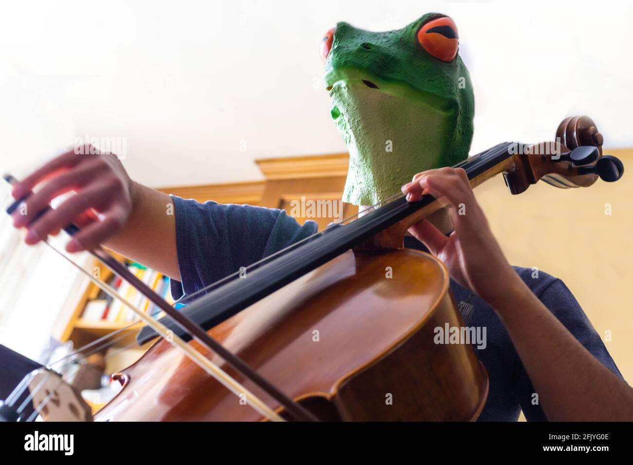 Frog musical instrument hi-res stock photography and images - Alamy
