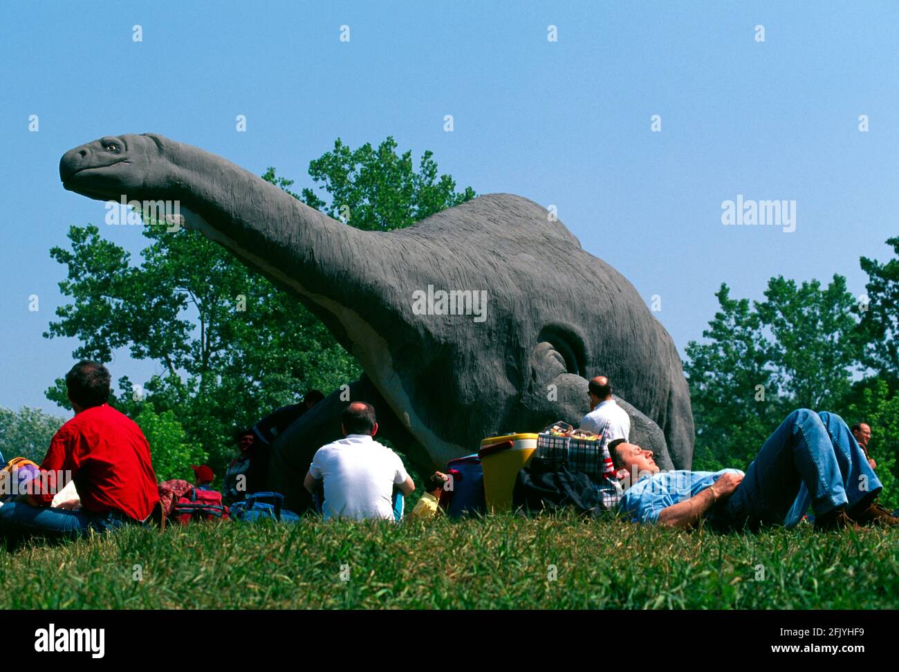 Brontosaurus head hi-res stock photography and images - Alamy
