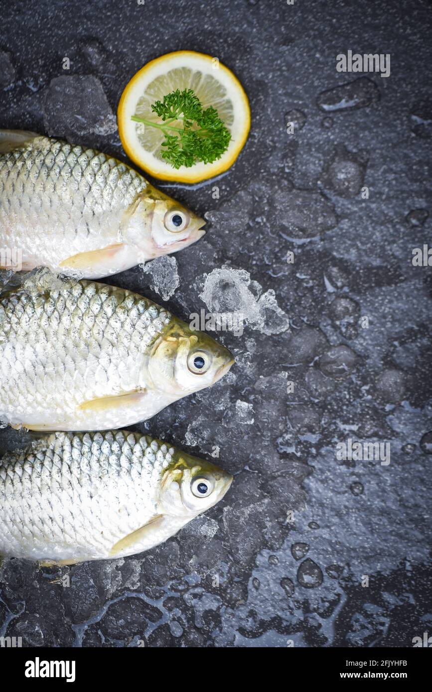 Silver Barb fish on ice, Java Barb Carp Fish on market food with herb ...