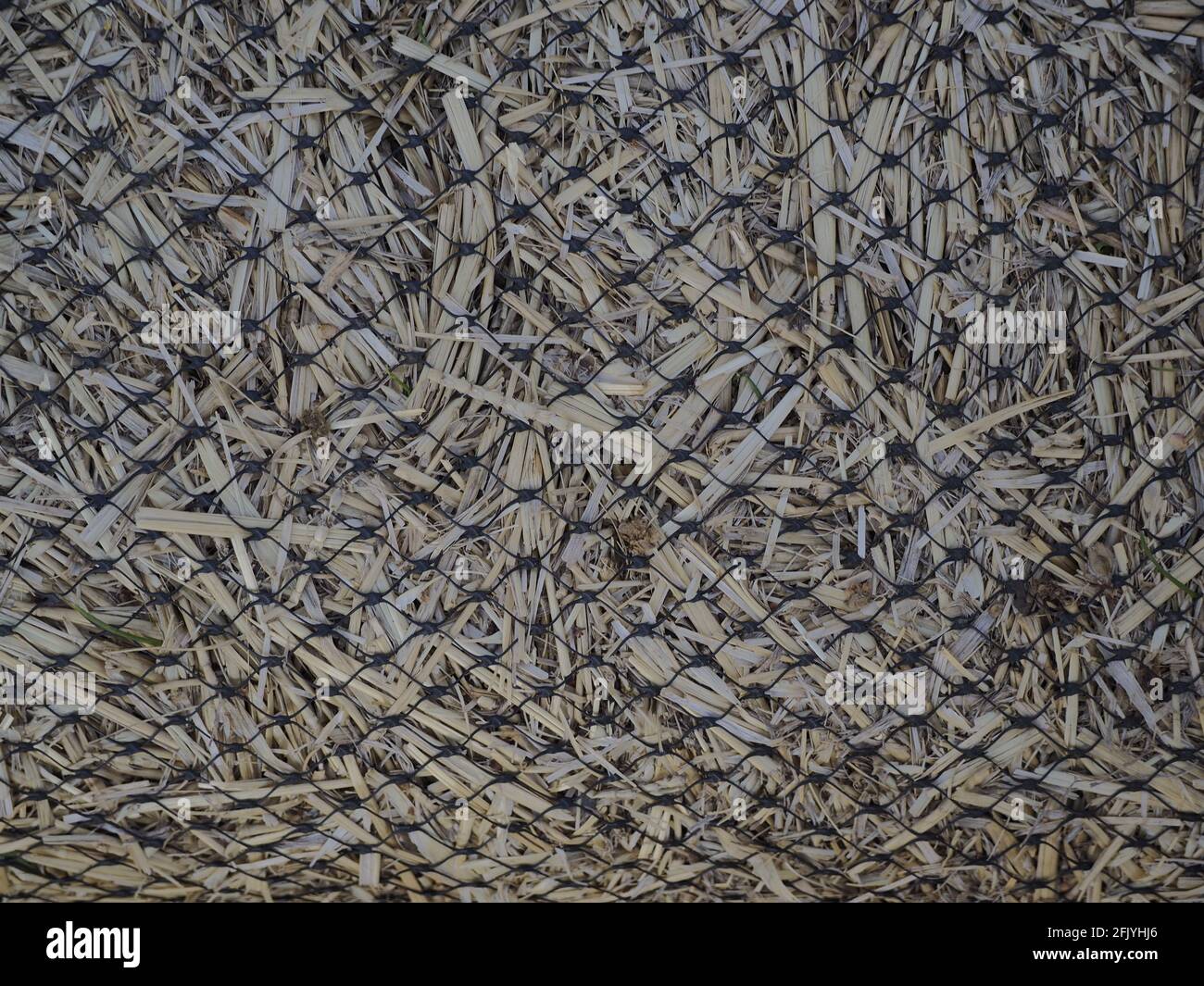Closeup texture of metal wire fence and dry straw Stock Photo - Alamy