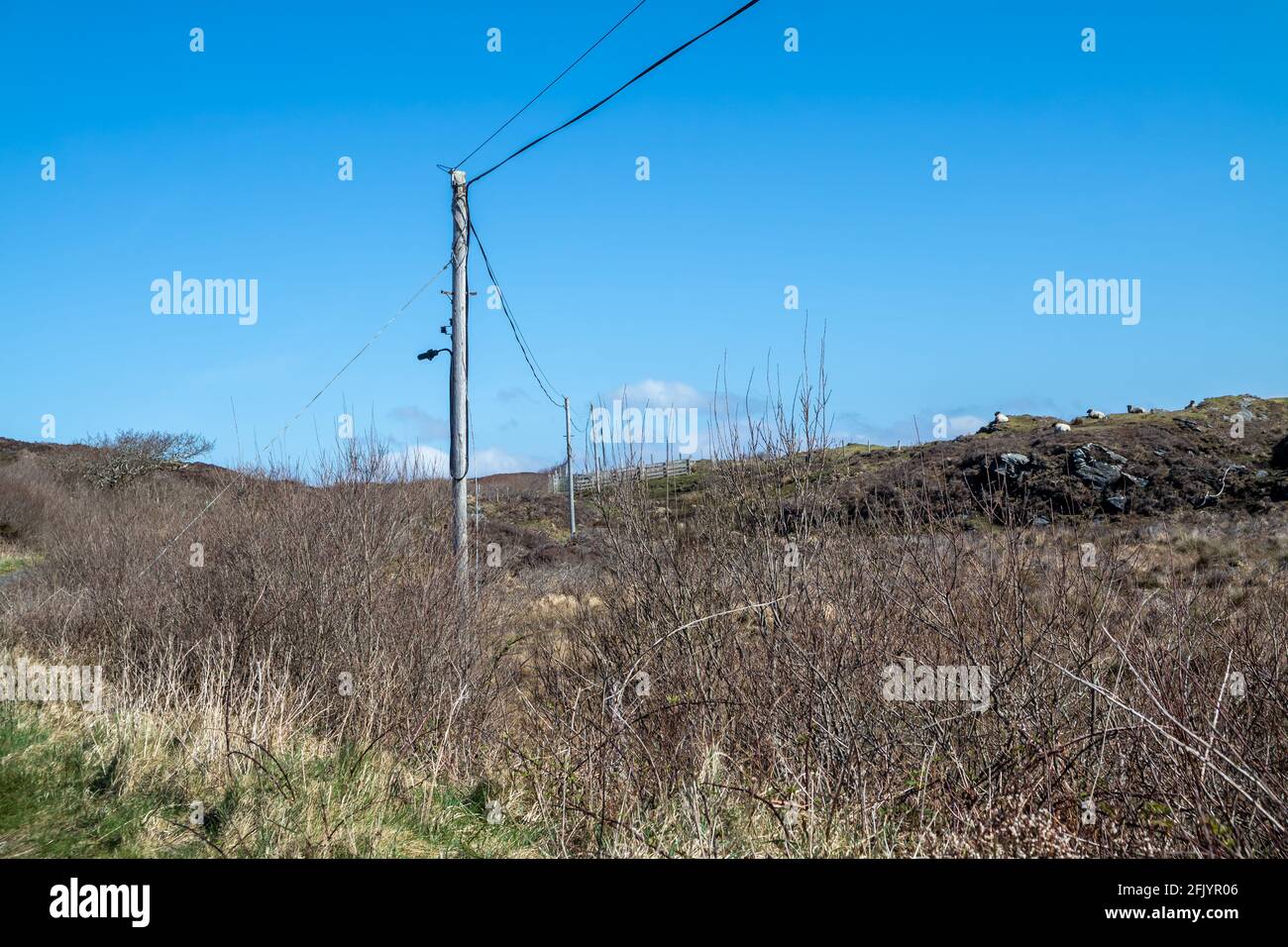 Utility Pole and lines for transmission of electricity and ...