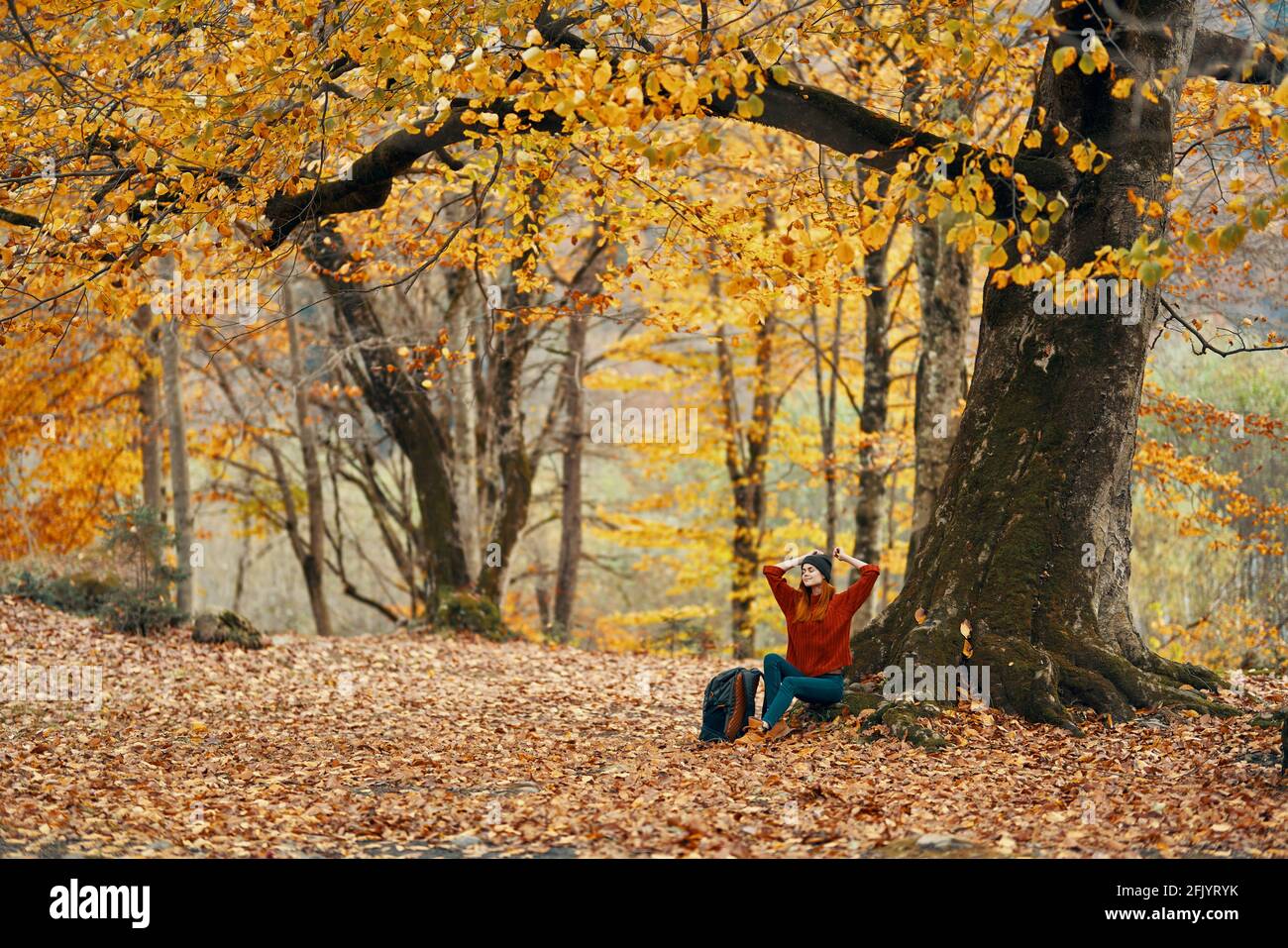 woman in autumn forest sitting under a tree with yellow leaves ...