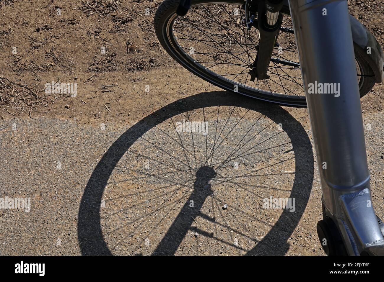 Bicycle wheel and its shadow on the asphalt Stock Photo - Alamy