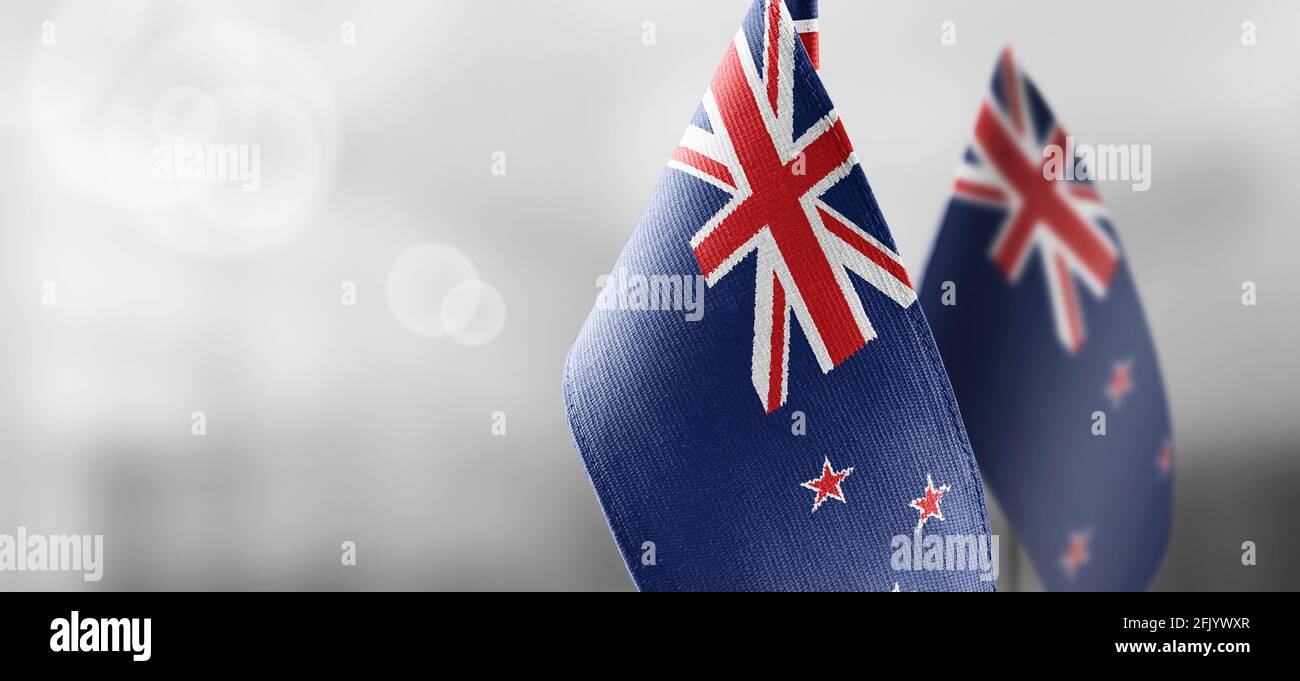 Small national flags of the New Zealand on a light blurry background ...