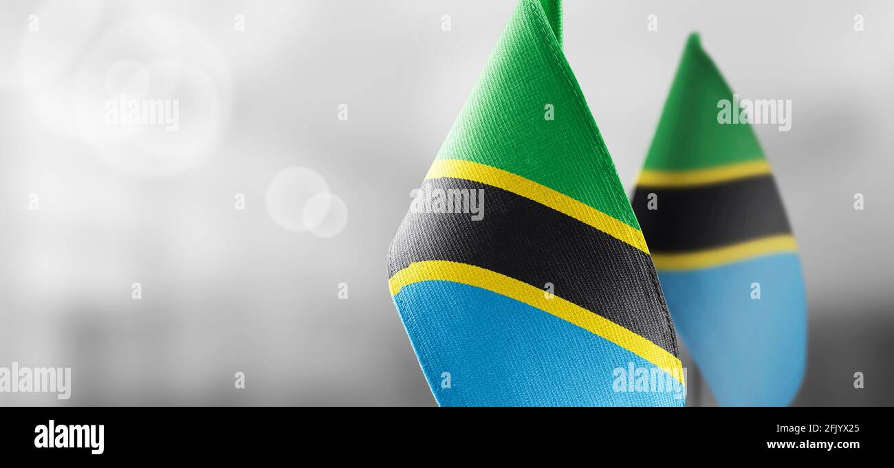 Small national flags of the Tanzania on a light blurry background Stock ...