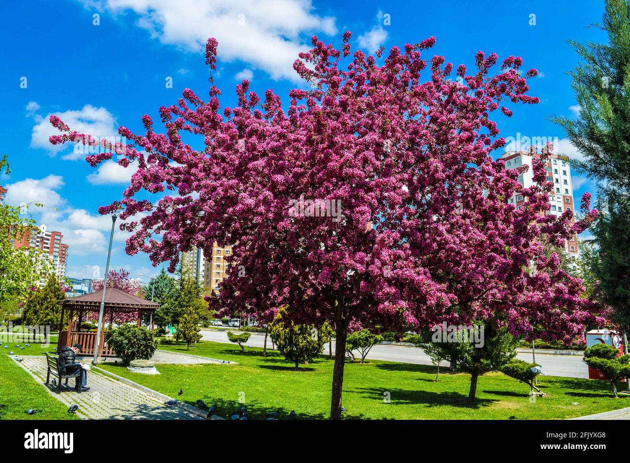 Ankara, Turkey. 27th Apr, 2021. A man sits on a park bench near a ...