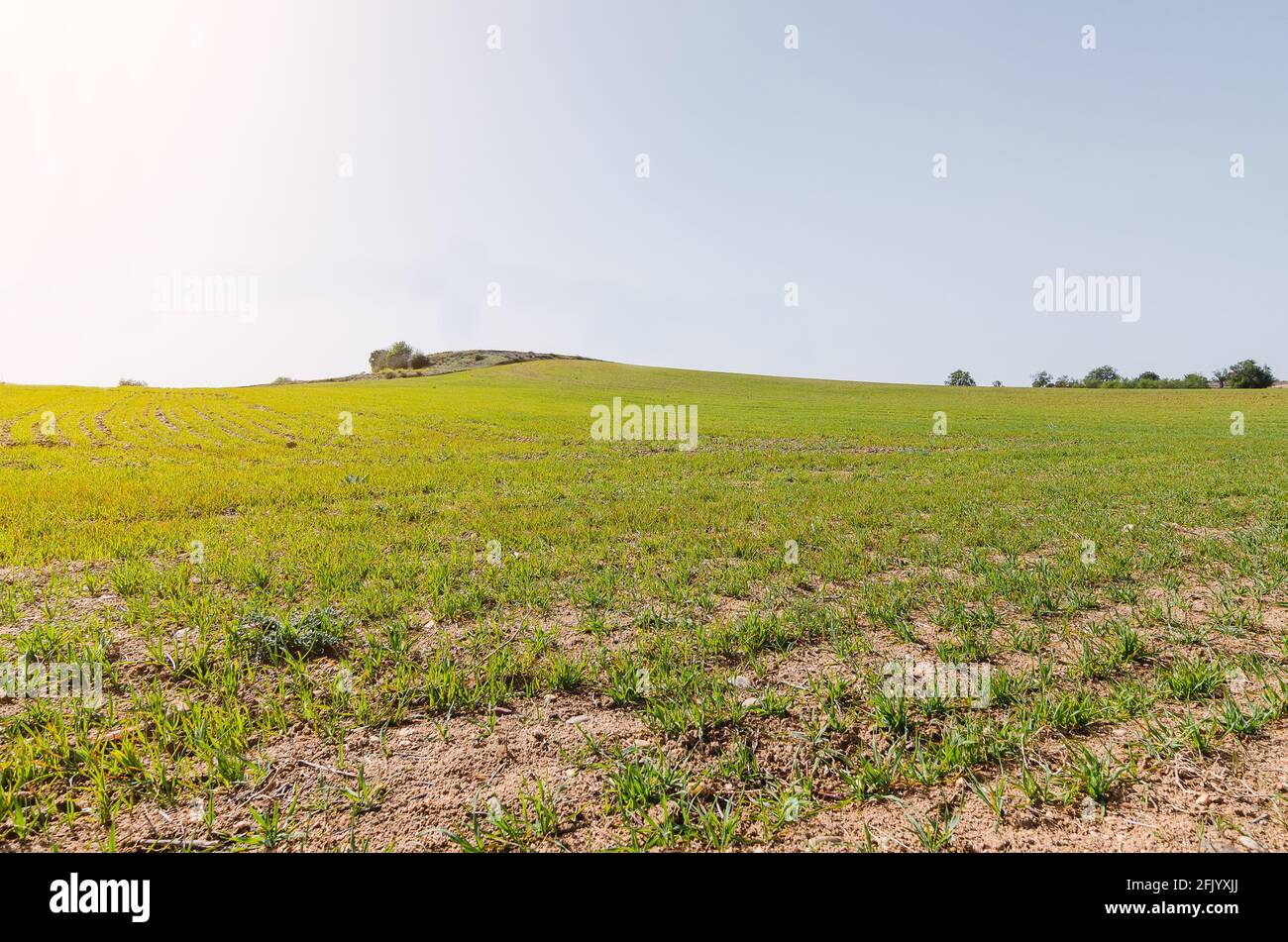 Hillside with green grass Stock Photo - Alamy