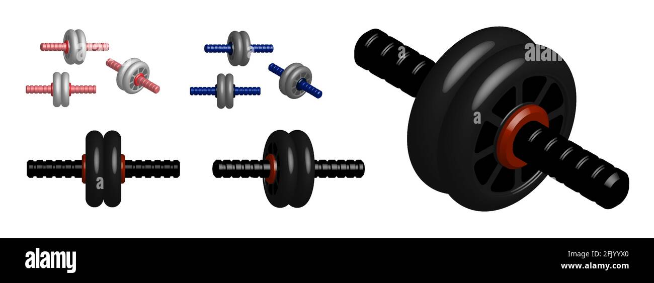 realistic 3D model of sports wheel for press training. Healthy ...