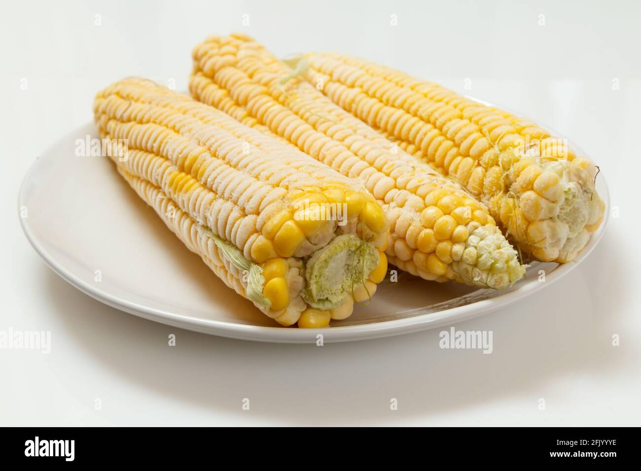 Frozen corn cobs on a porcelain plate with the white background Stock ...