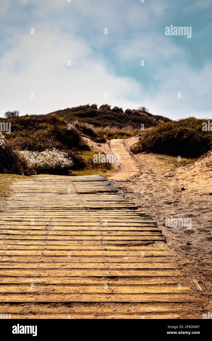 Wooden boardwalk through dune hi-res stock photography and images - Alamy
