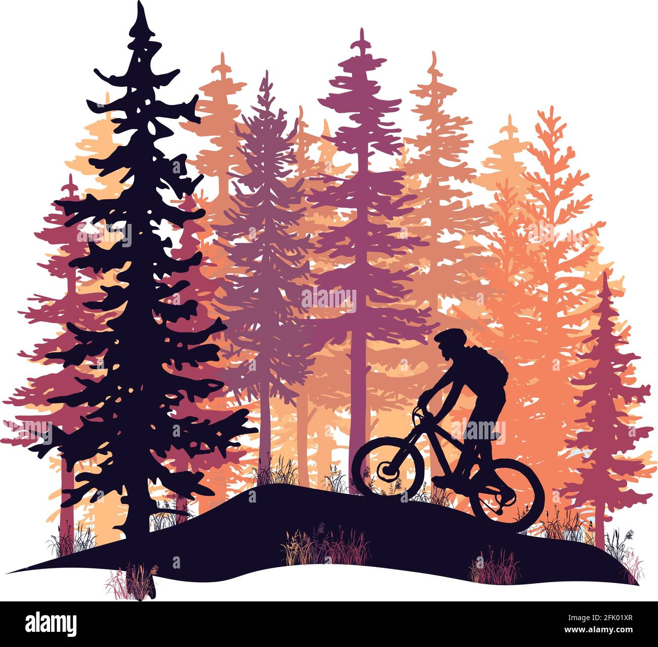 Bike ride in the woods Stock Vector Images - Alamy