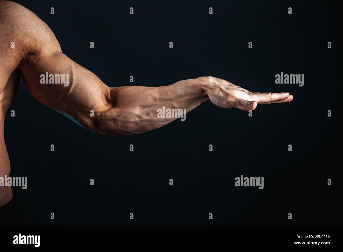 tense arm, veins, bodybuilder muscles on a dark background, isolate ...