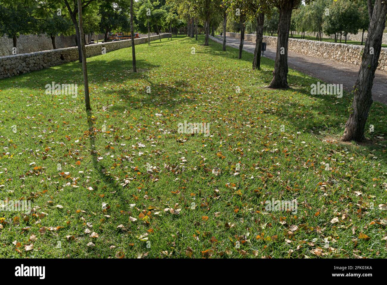 Autumn leaves on green grass field Stock Photo - Alamy