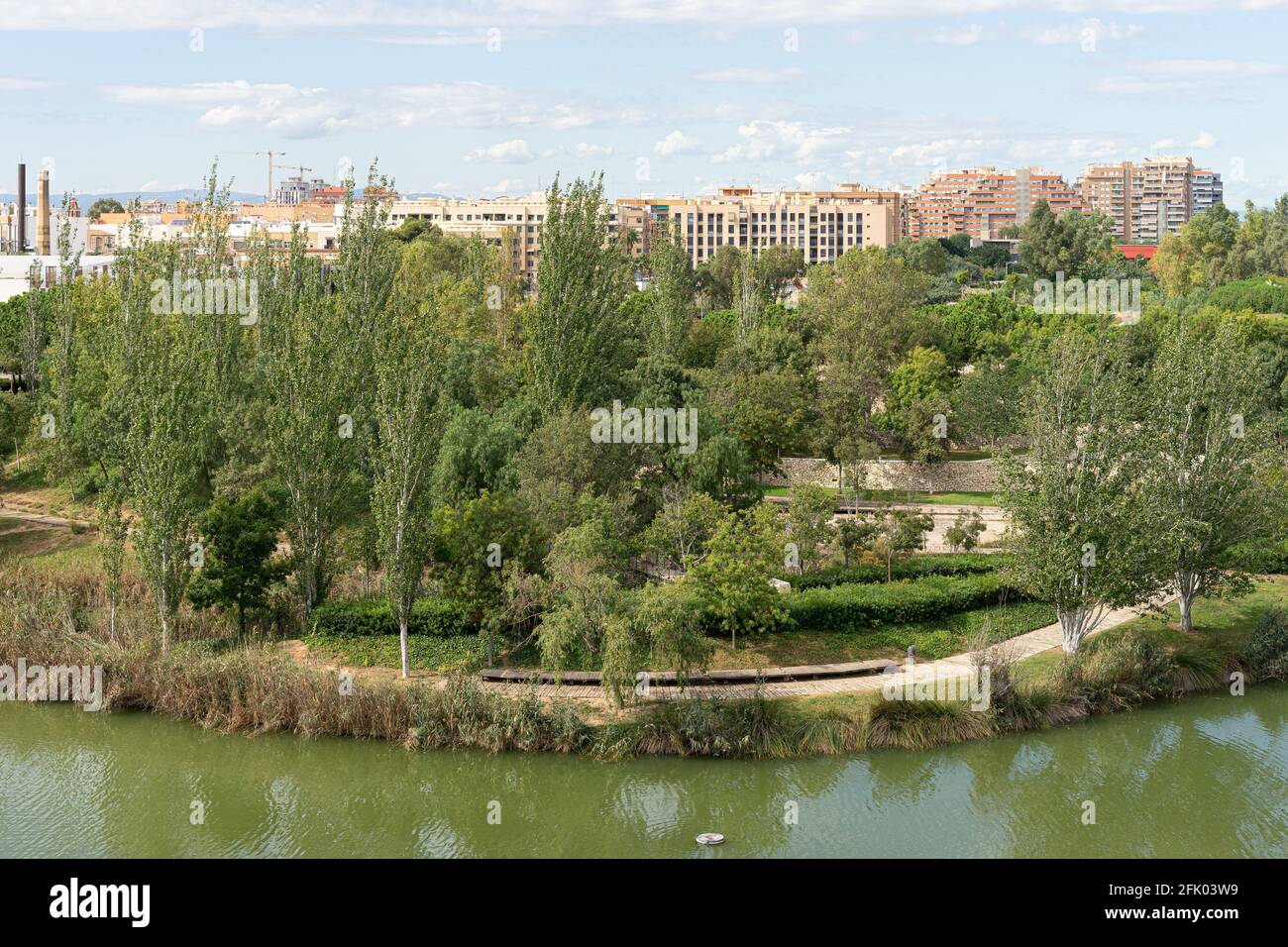 Beautiful green urban park. Public park with green grass fields, trees ...