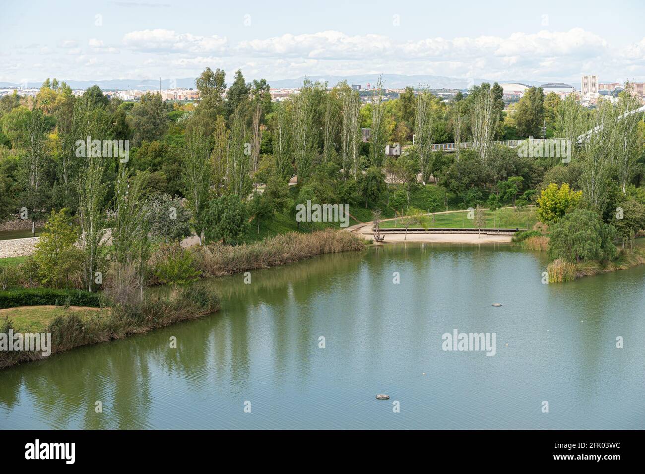 Beautiful green urban park. Public park with green grass fields, trees ...