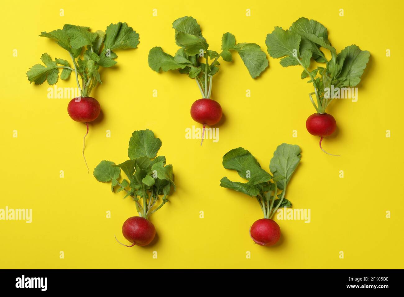 Five radishes with leaves on yellow background Stock Photo - Alamy