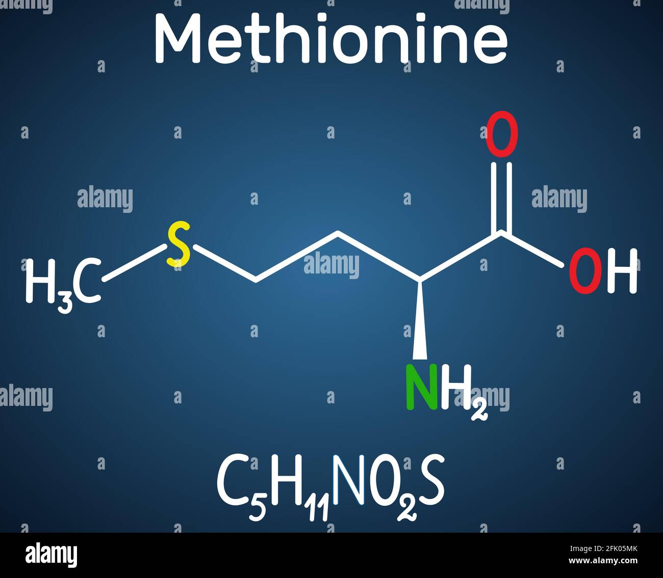 Methionine Lewis Structure