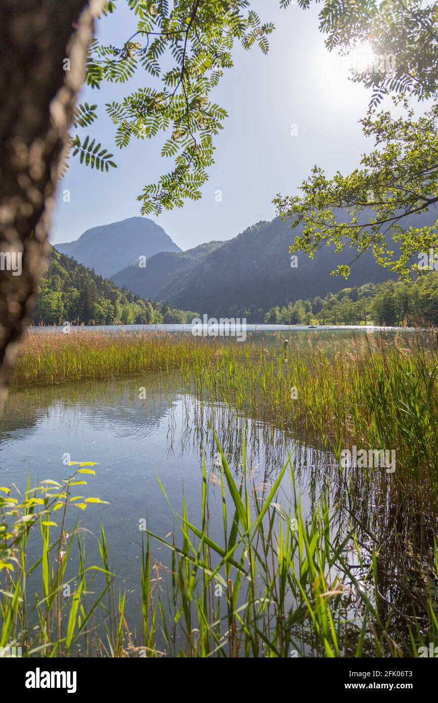 Thumsee hi-res stock photography and images - Alamy