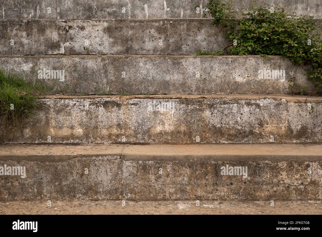 Weed Infested Terracing At A Grassroots Football Pitch Stock Photo - Alamy