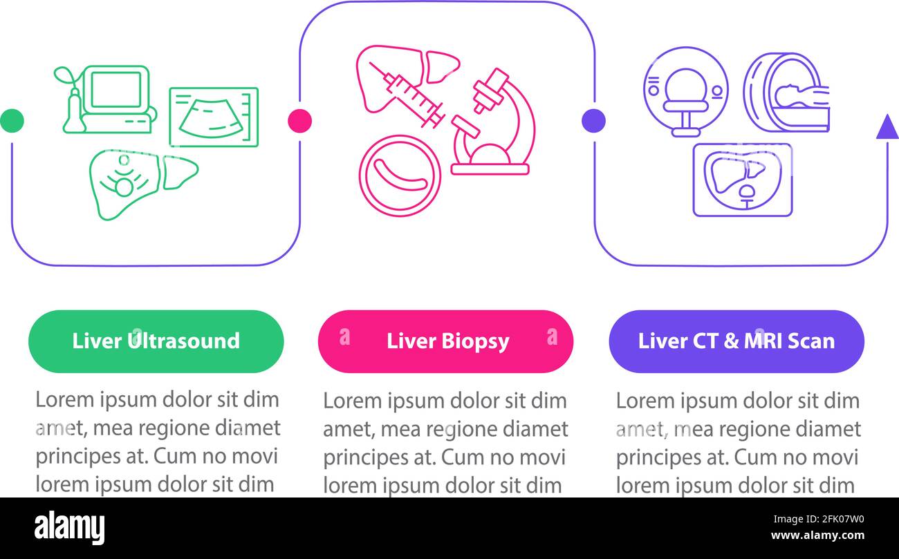 Liver testing vector infographic template Stock Vector Image & Art - Alamy