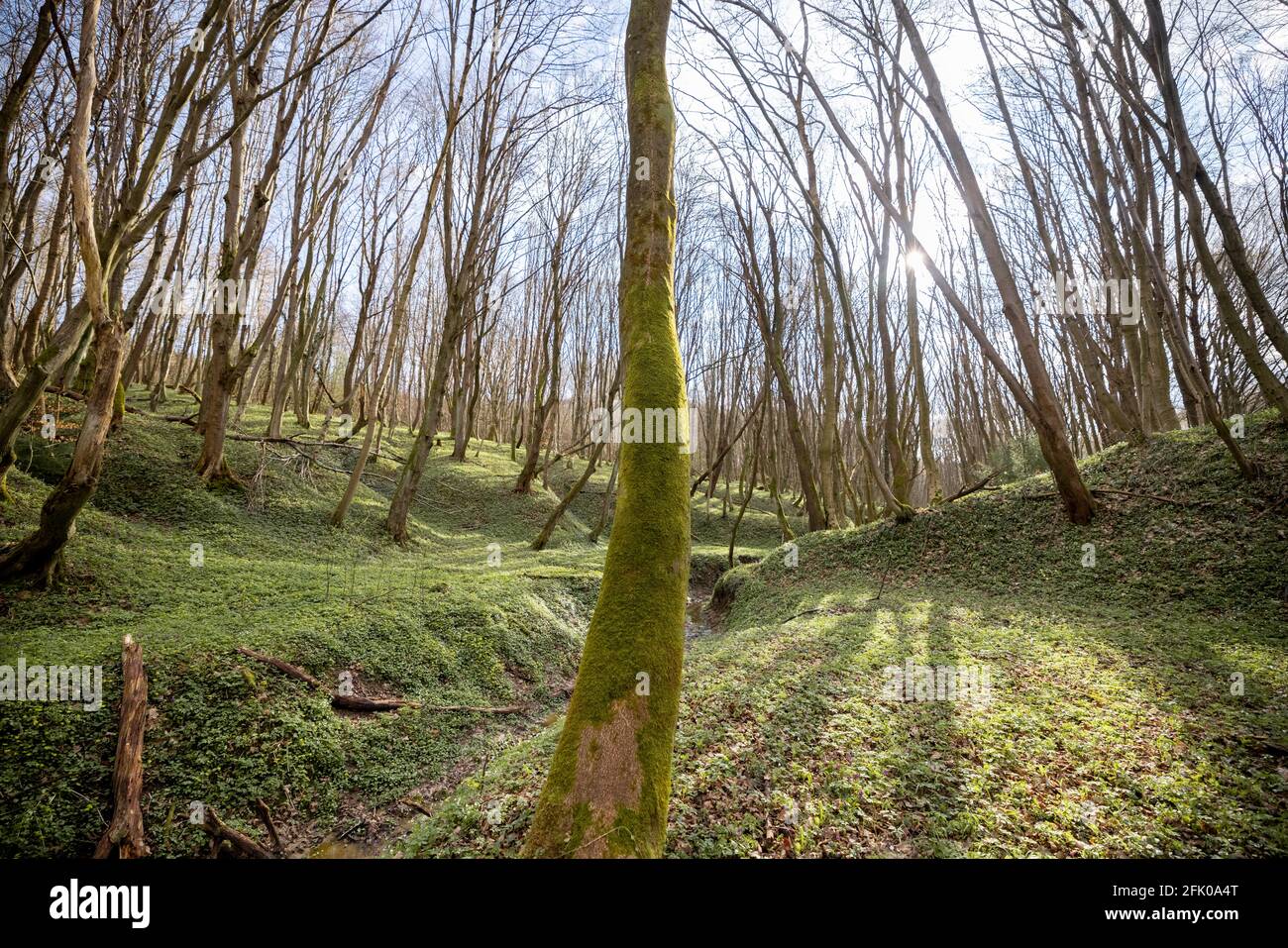 Enjoy clean hi-res stock photography and images - Alamy